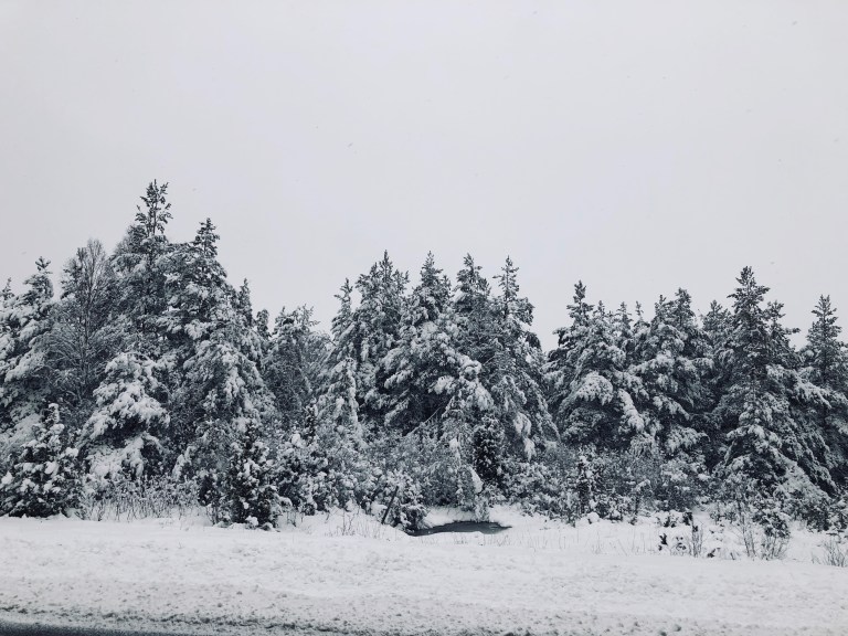 Tali tuli – HARRY RAUDVERE BLOGI